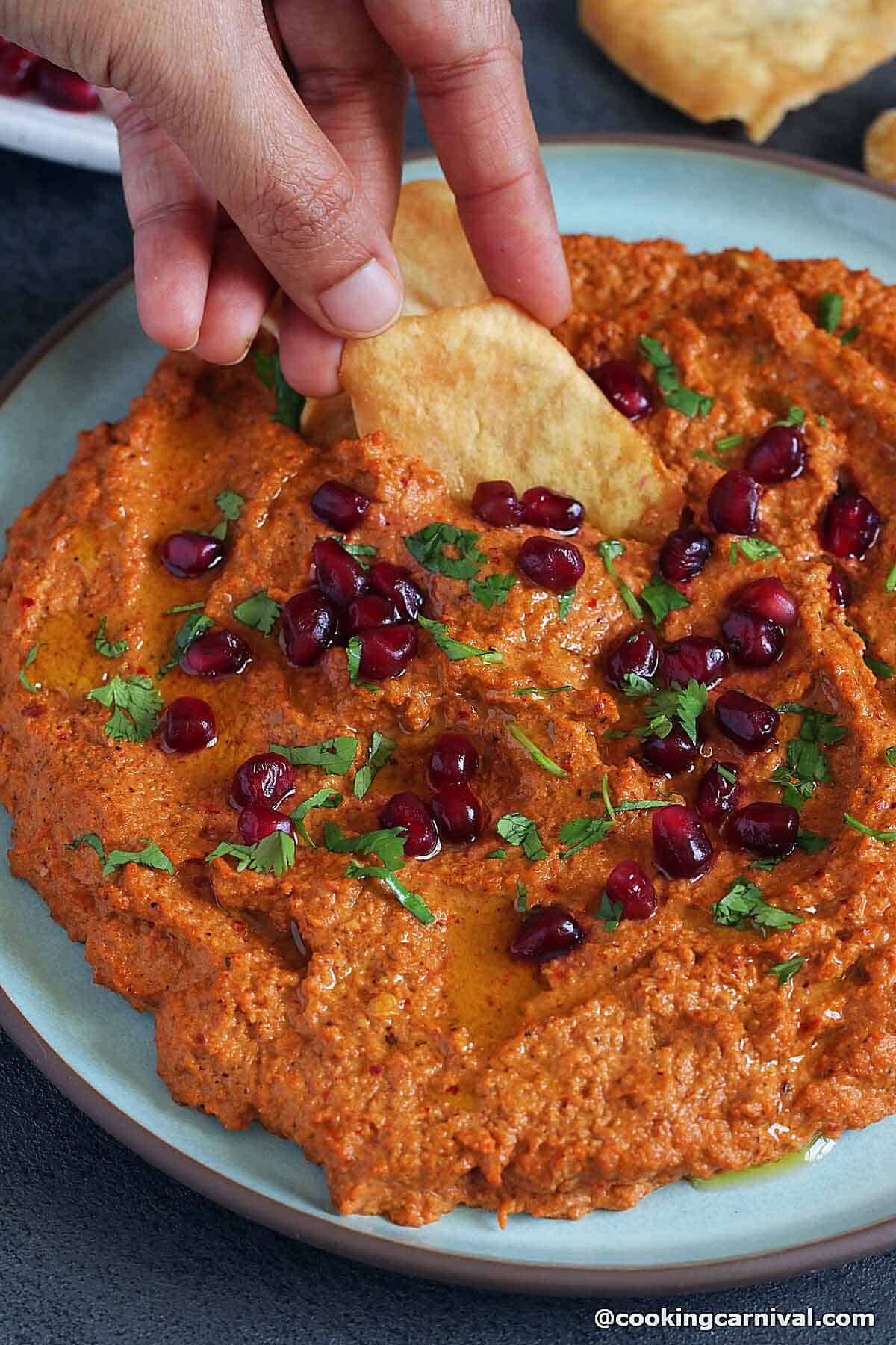 Muhammara (Roasted Red Pepper Walnut Dip) - Cooking Carnival