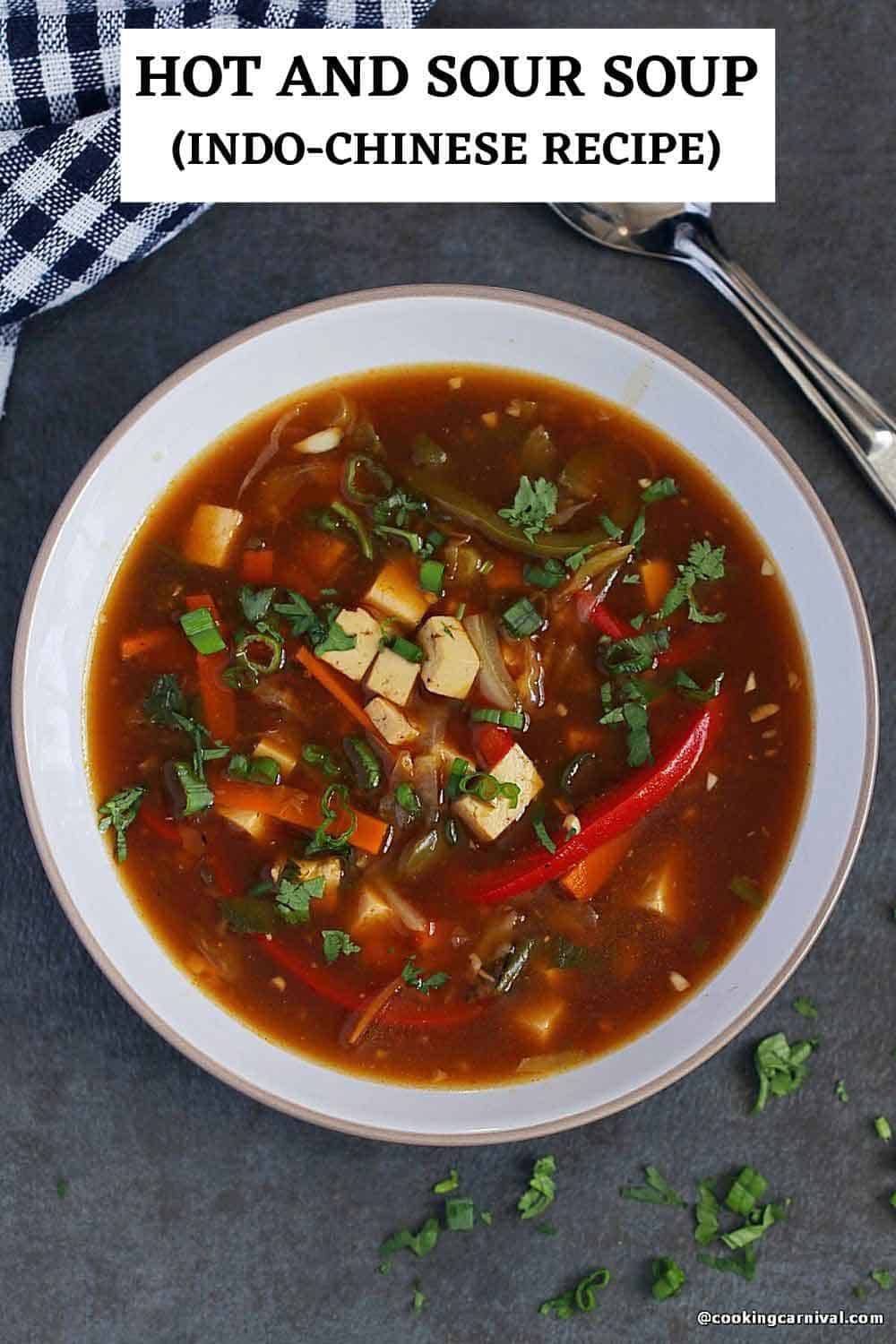 Veg Hot And Sour Soup - Cooking Carnival