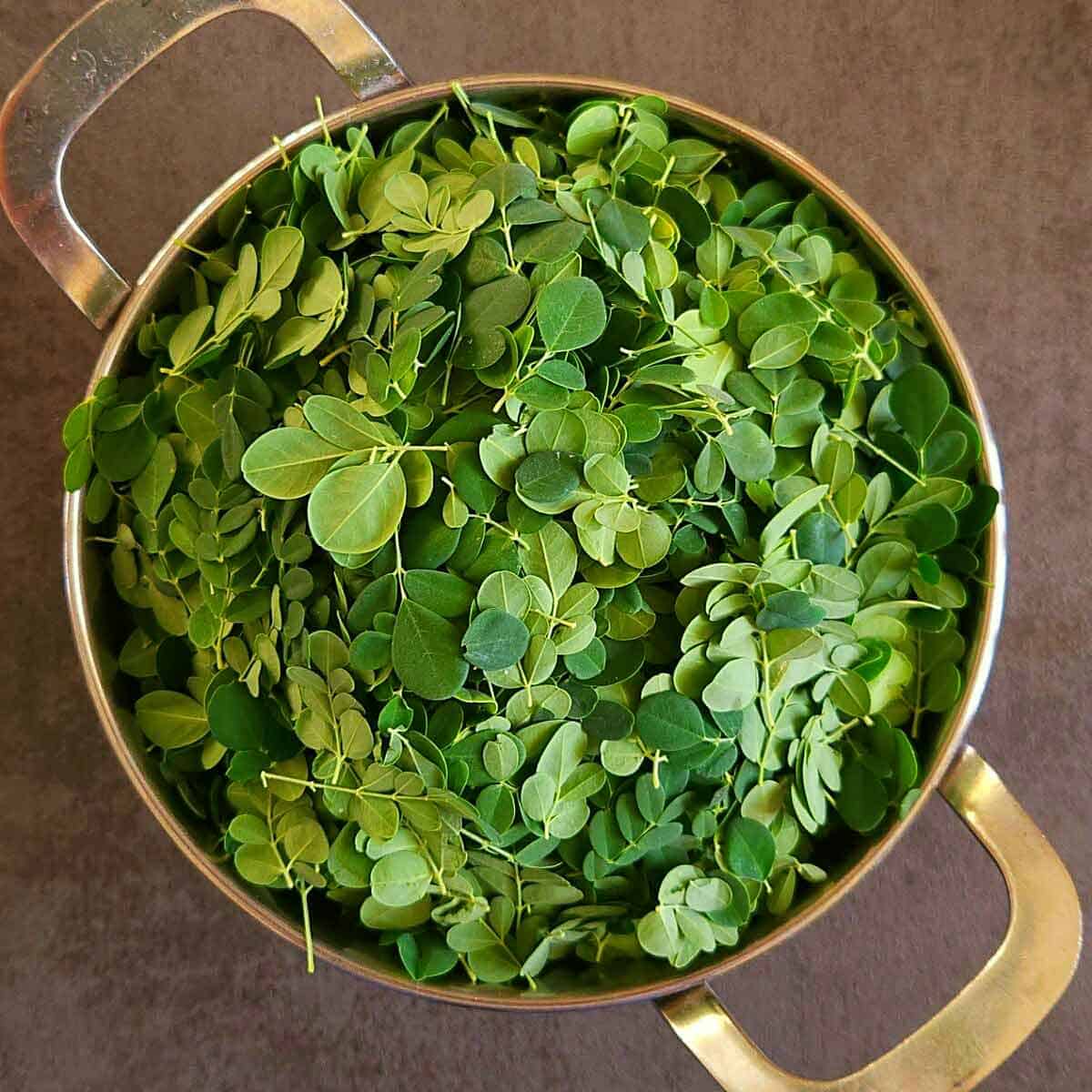How to Dry Moringa Leaves For Homemade Moringa Powder - Cooking Carnival